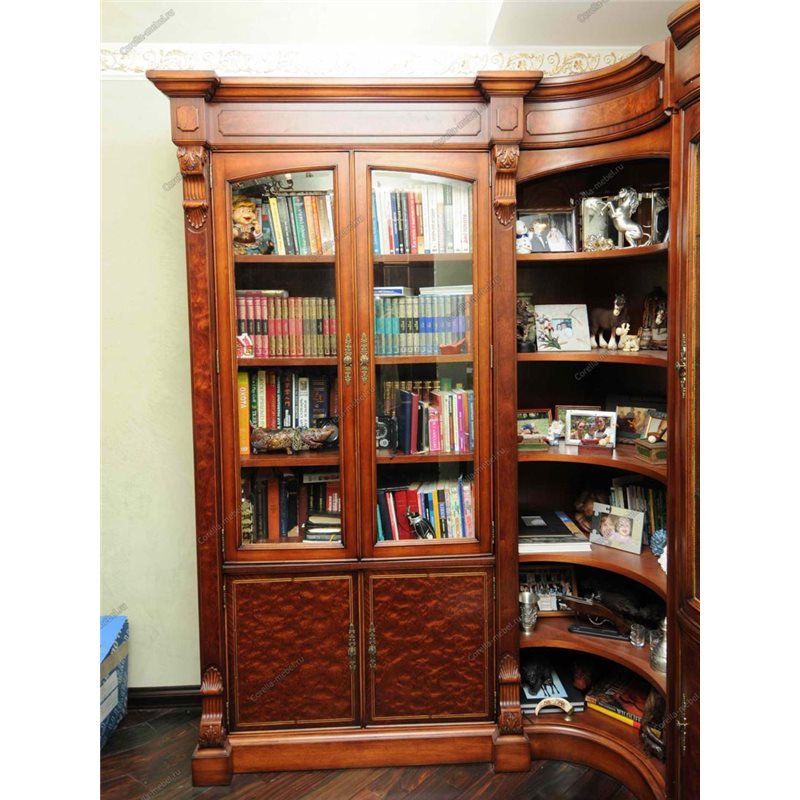 Книжный шкаф классический двухдверный